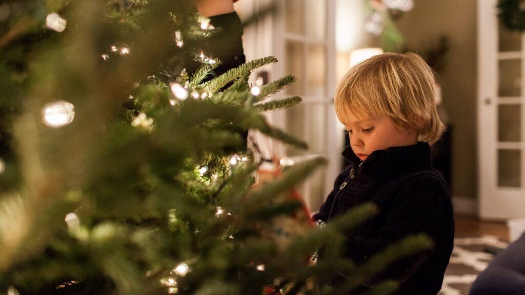 Overwhelmed by a Hectic Holiday Season? Try a Real Christmas Tree!